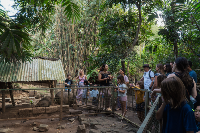 Visit Our Campus | Primary School Bali | Green Schools Bali